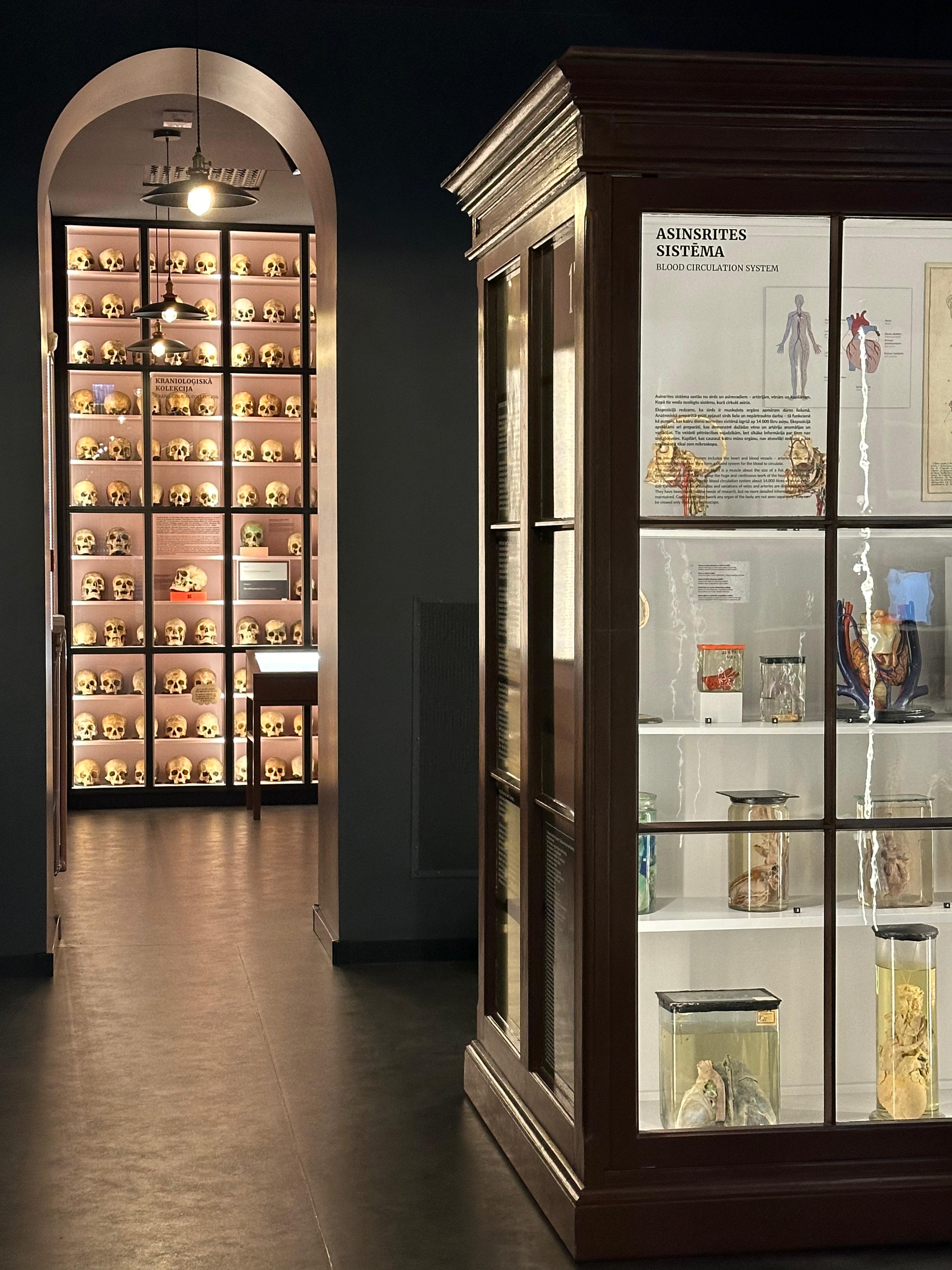 Iepazīsti Rīgas Muzejus: Bezmaksas un Maksas Ieejas Iespējas – pasaules ...